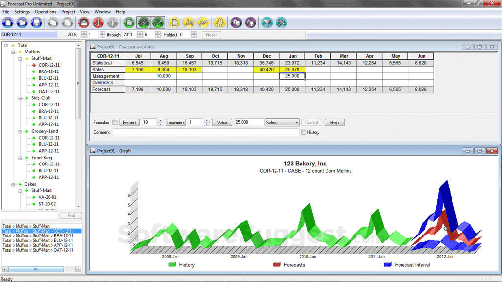 Forecast Pro Pricing, Reviews, & Features in 2022
